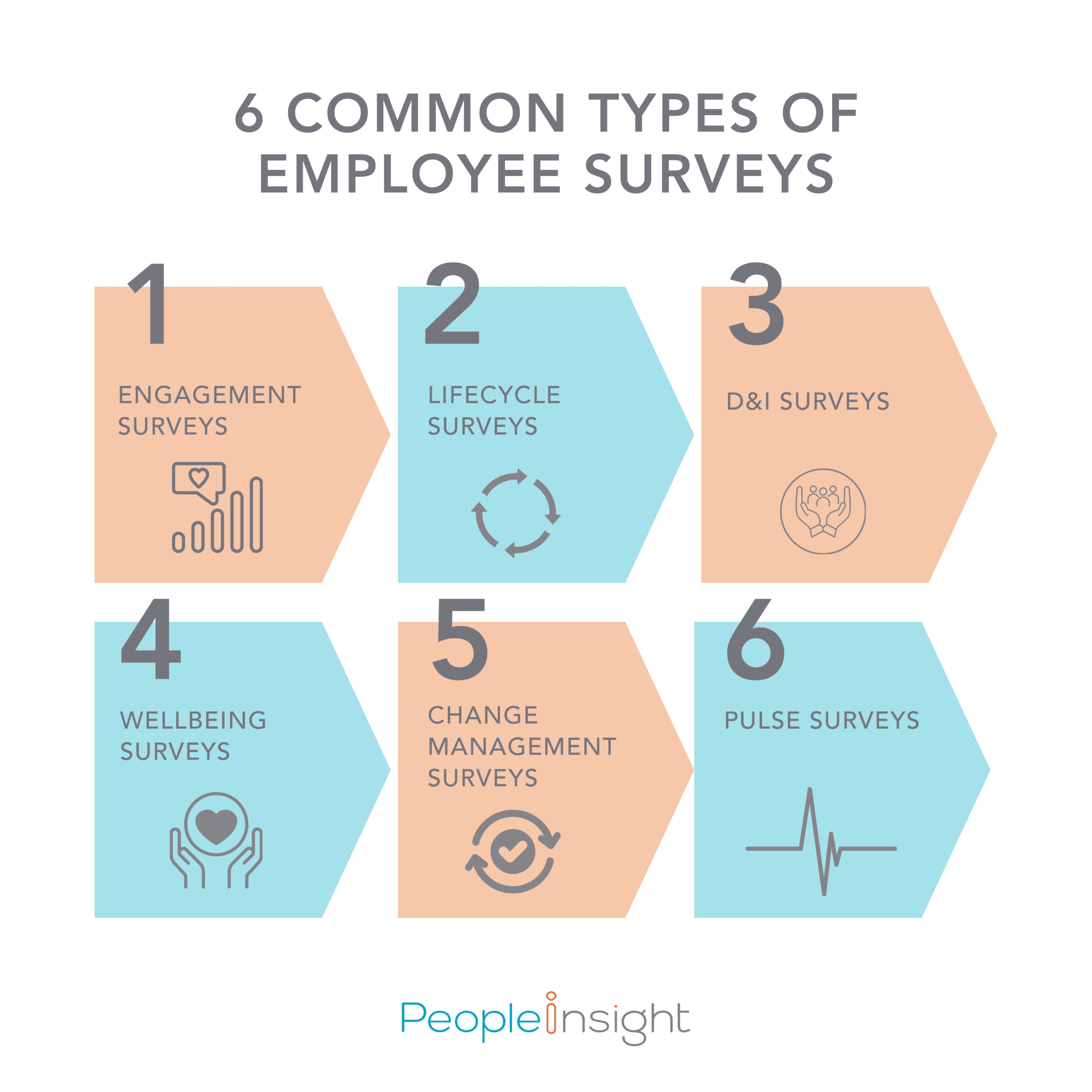 Employee Survey Guide 2026 | People Insight